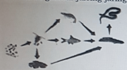 perhatikan gambar jaring-jaring makanan pada ekosi...