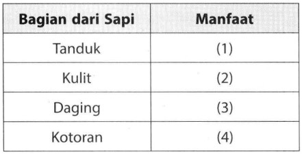 Sapi adalah hewan yang memiliki banyak manfaat. Se...