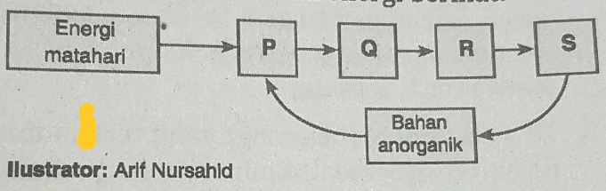 Perhatikan skema aliran energi berikut! Berdasark...