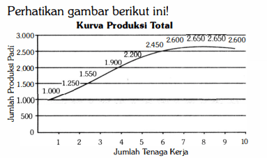 Berdasarkan kurva produksi total tersebut, jumlah ...