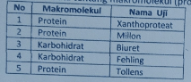 berikut ini data tentang makromolekul (protein dan...