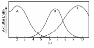 Perhatikan gambar berikut ini. Aktivitas enzim dip...