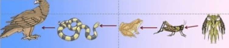 Pada gambar di bawah ini terjadi peristiwa .... A....