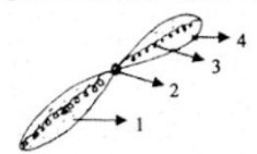 Bagian-bagian kromosom secara berurutan: sentrosom...